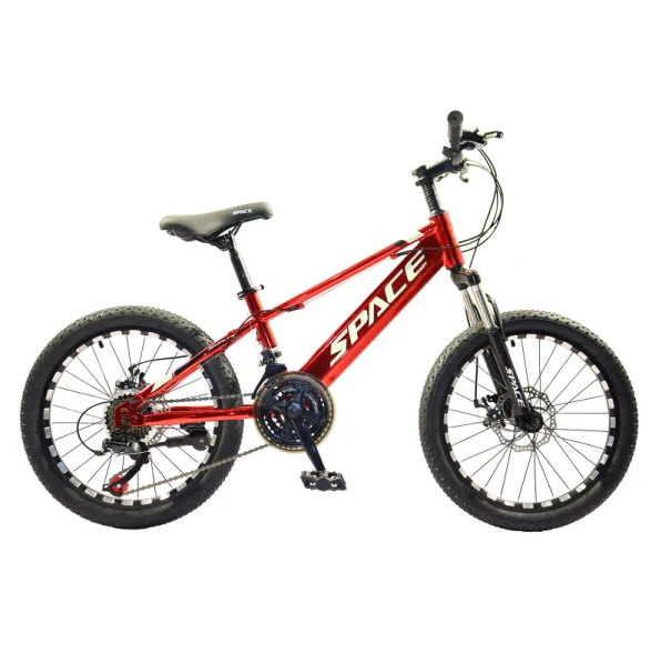 Mountain Bike For Kids, 21-Speed With 20-Inch Wheels, Aluminuml Steel Frame